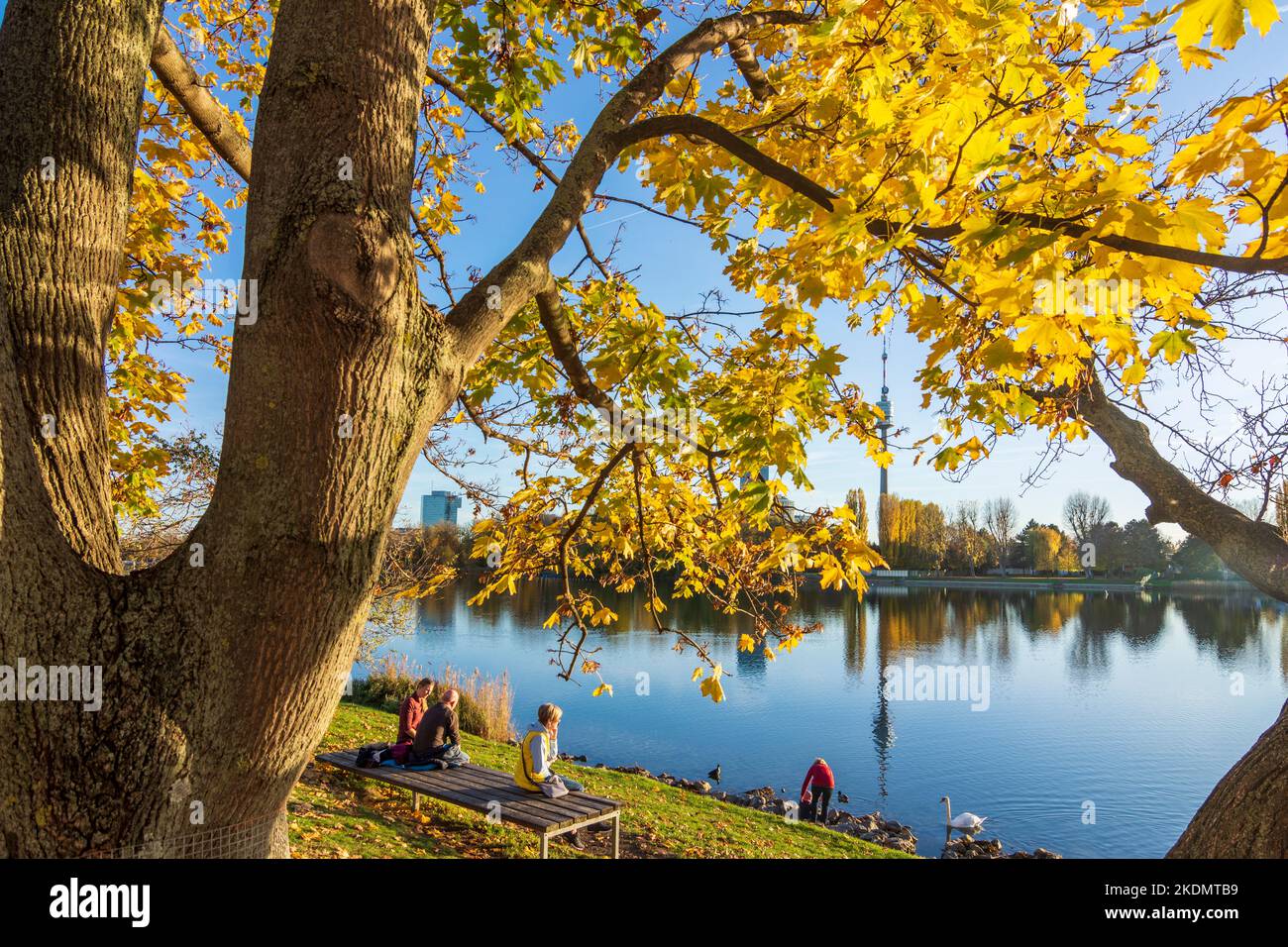 Wien, Vienna: oxbow lake Alte Donau (Old Danube), trees in autumn ...