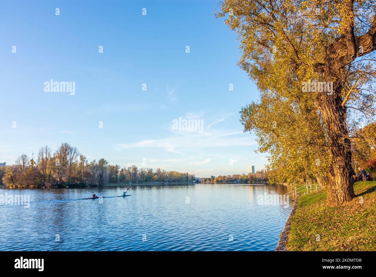 Wien, Vienna: oxbow lake Alte Donau (Old Danube), trees in autumn ...
