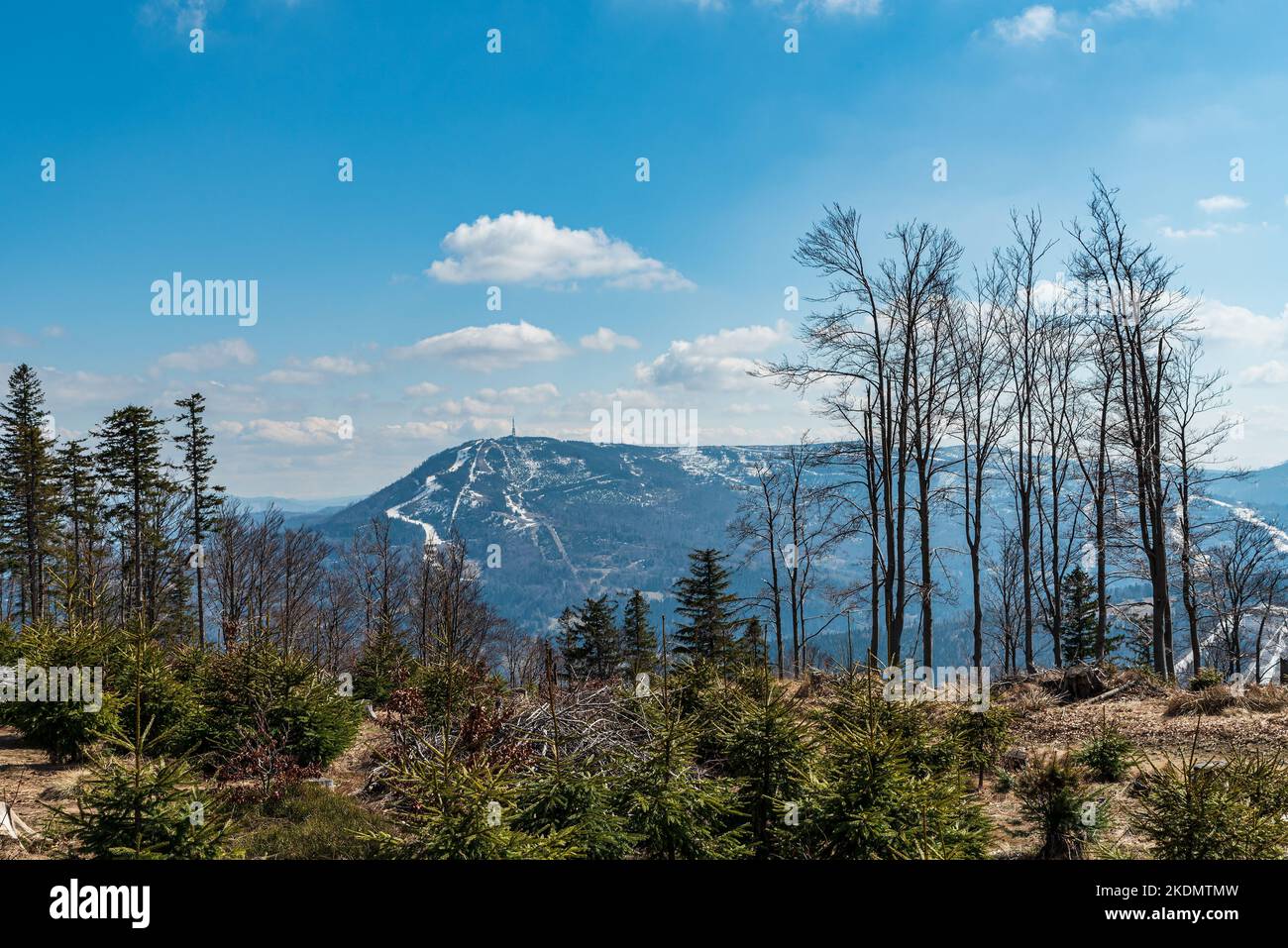 Skrzyczne hill from hiking trail bellow Klimczok hill summit in early ...