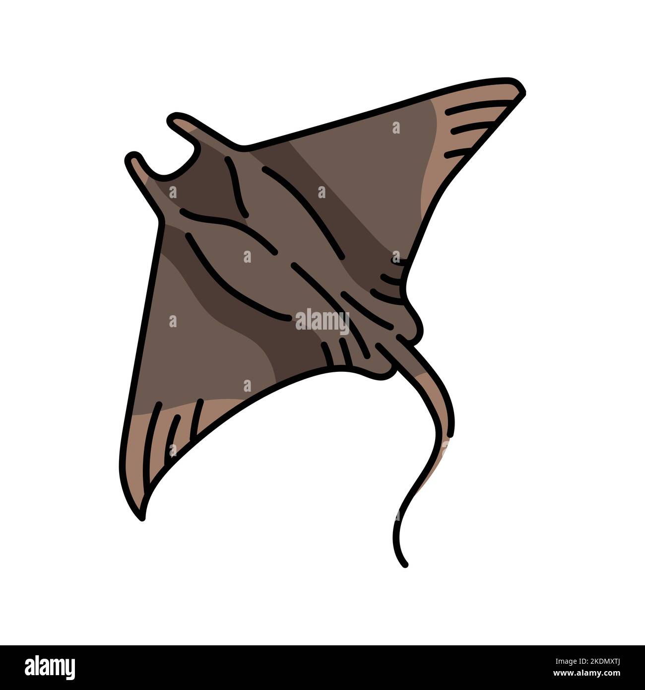 Manta fish color line illustration. Ocean fishes Stock Vector Image ...