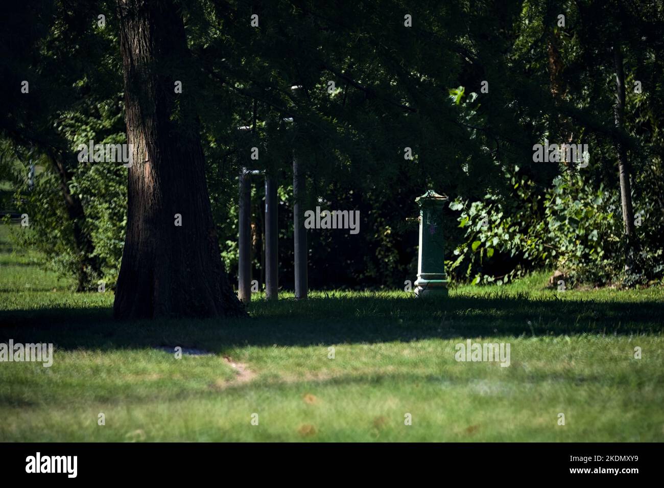 Public fountain under a tree next to a dirt path in a park Stock Photo ...