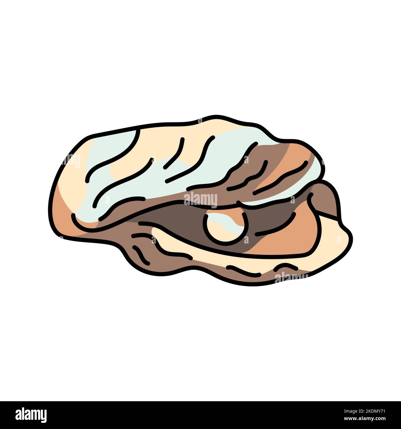 Mollusk pearl color line illustration. Ocean fishes Stock Vector Image ...