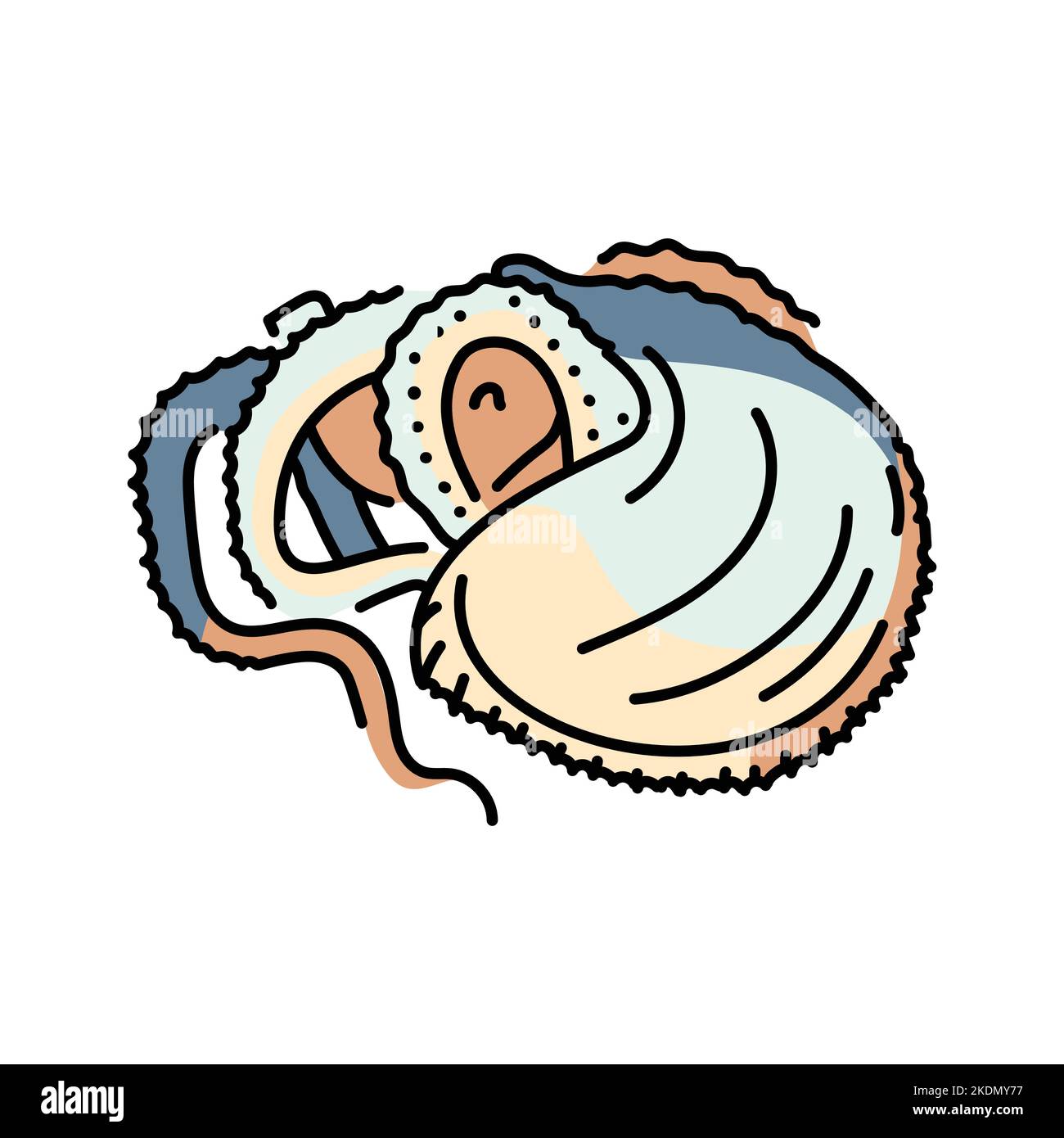 Argonaut color line illustration. Ocean fishes Stock Vector Image & Art ...