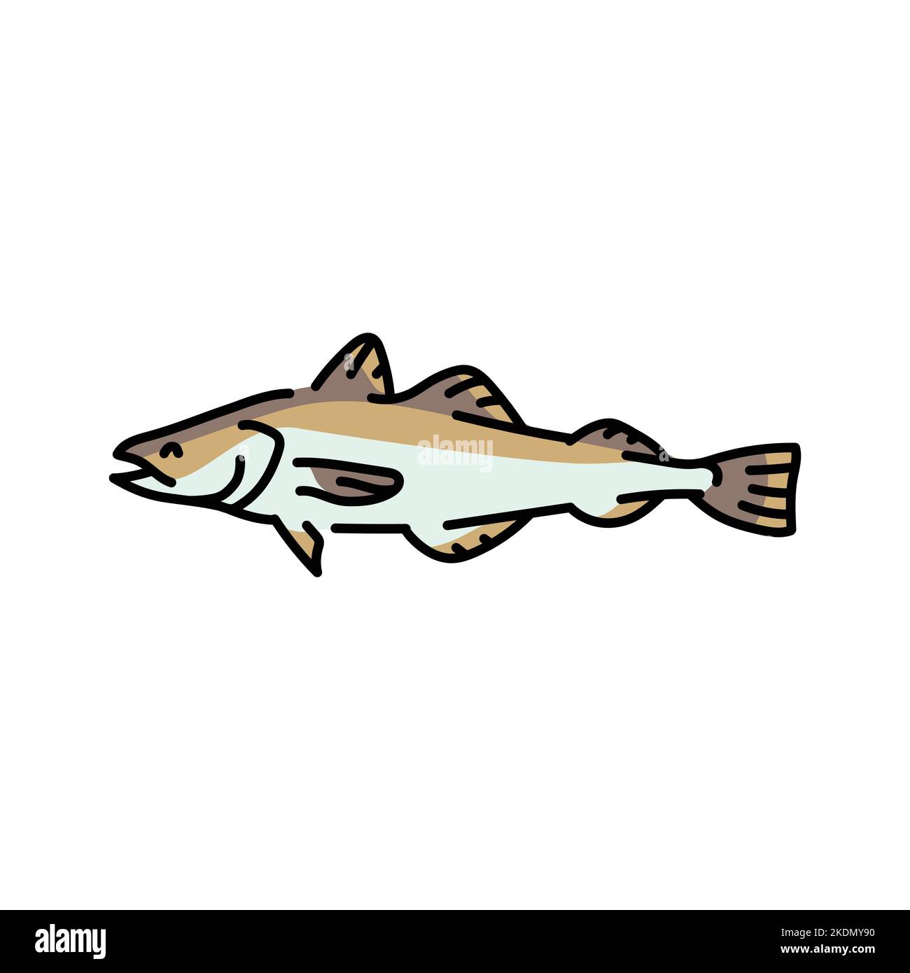 Pollock color line illustration. Ocean fishes Stock Vector Image & Art ...