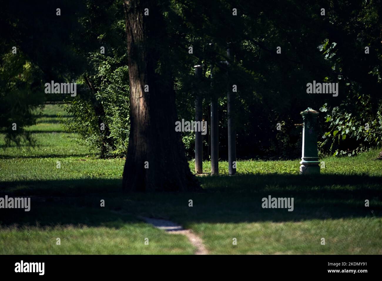 Tree next to fountain hi-res stock photography and images - Alamy