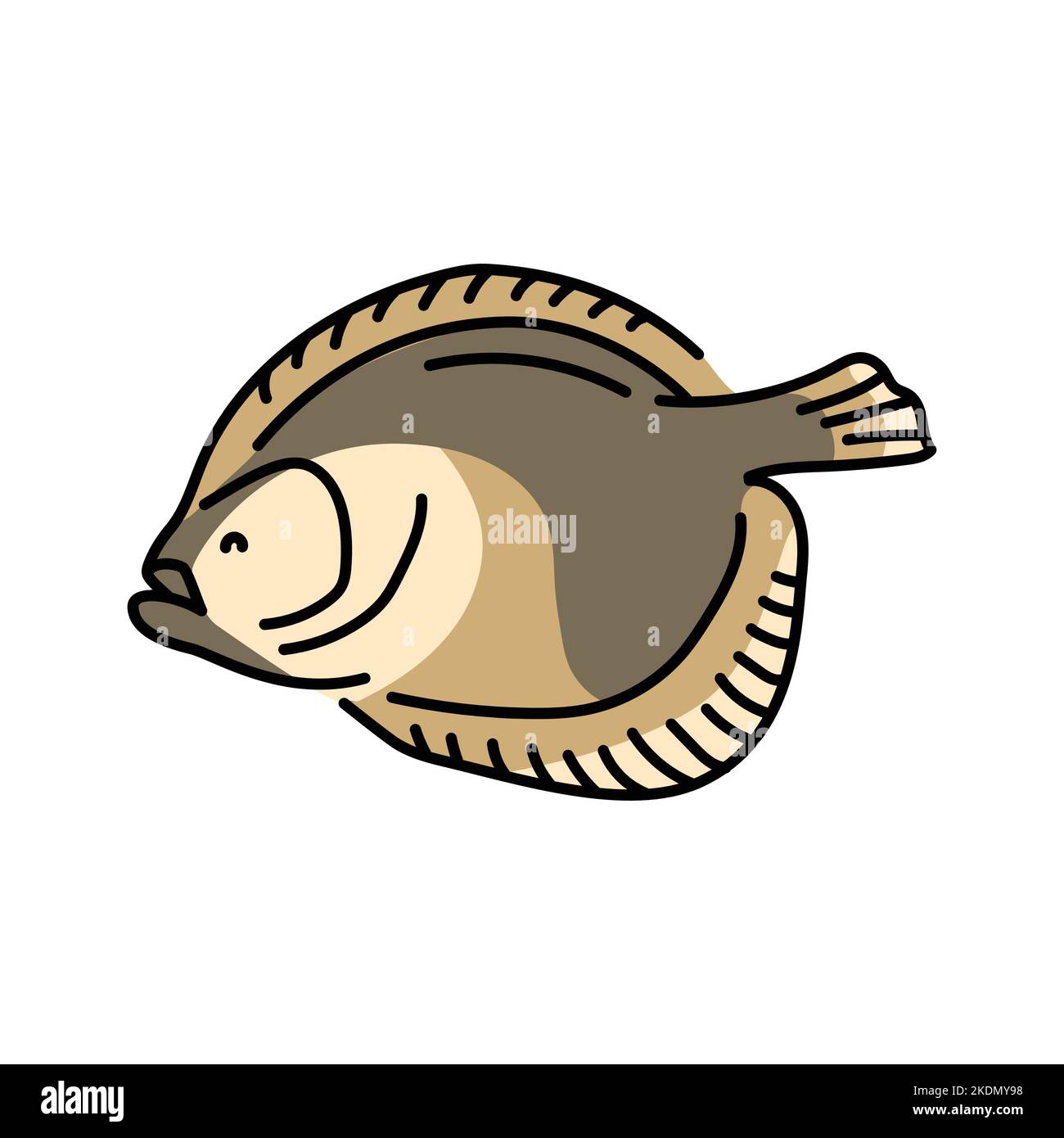 Flounder color line illustration. Ocean fishes Stock Vector Image & Art ...