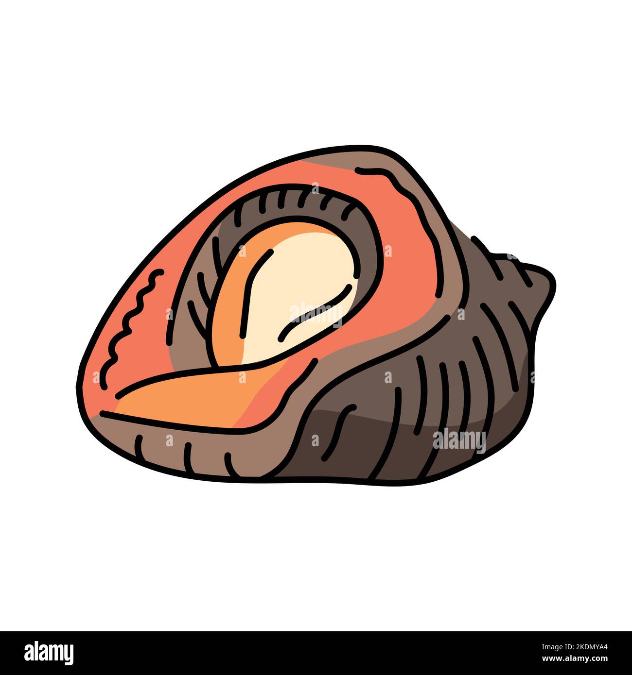 Rapan color line illustration. Ocean fishes Stock Vector Image & Art ...