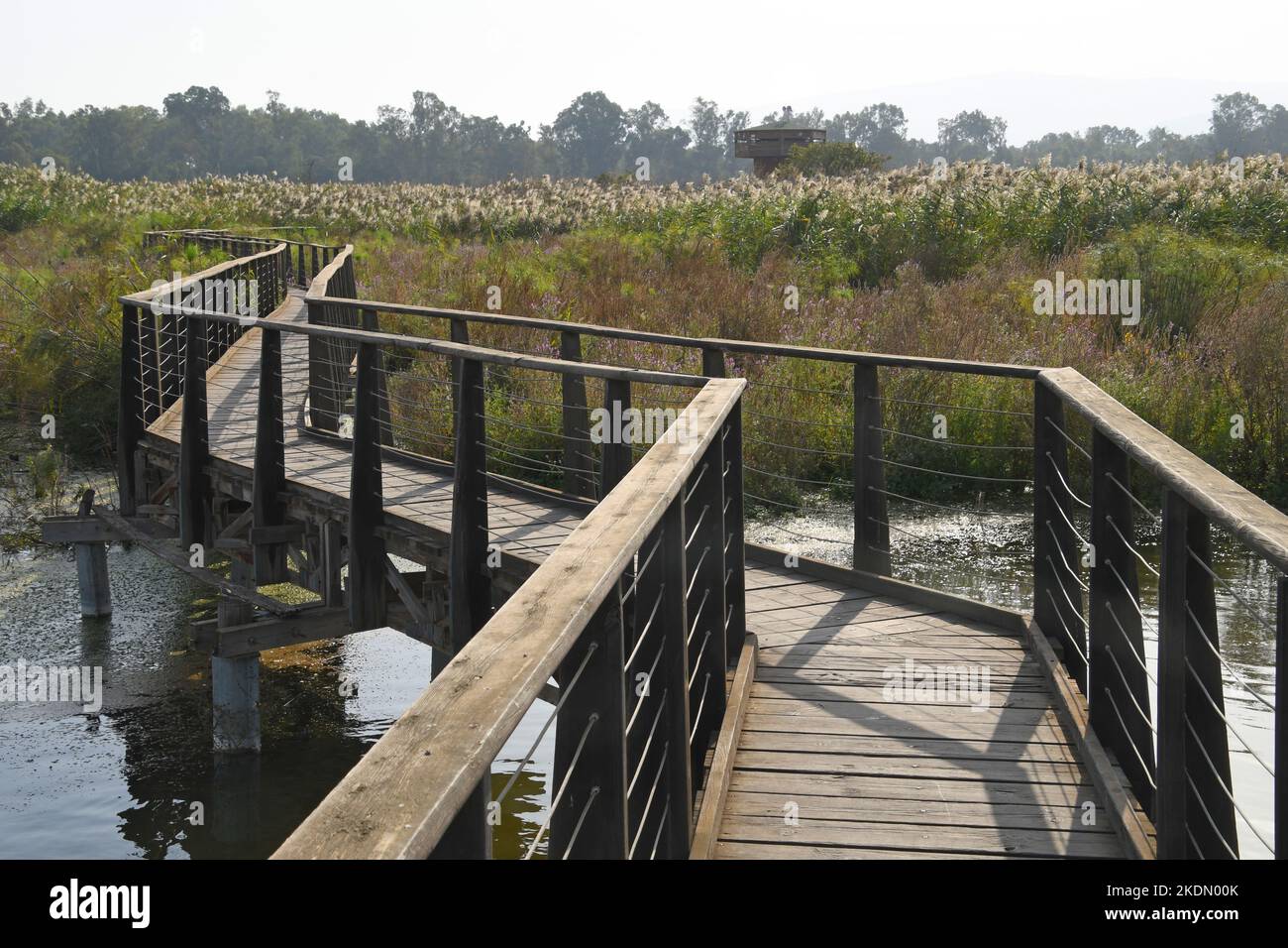 Marshland boardwalk hi-res stock photography and images - Alamy