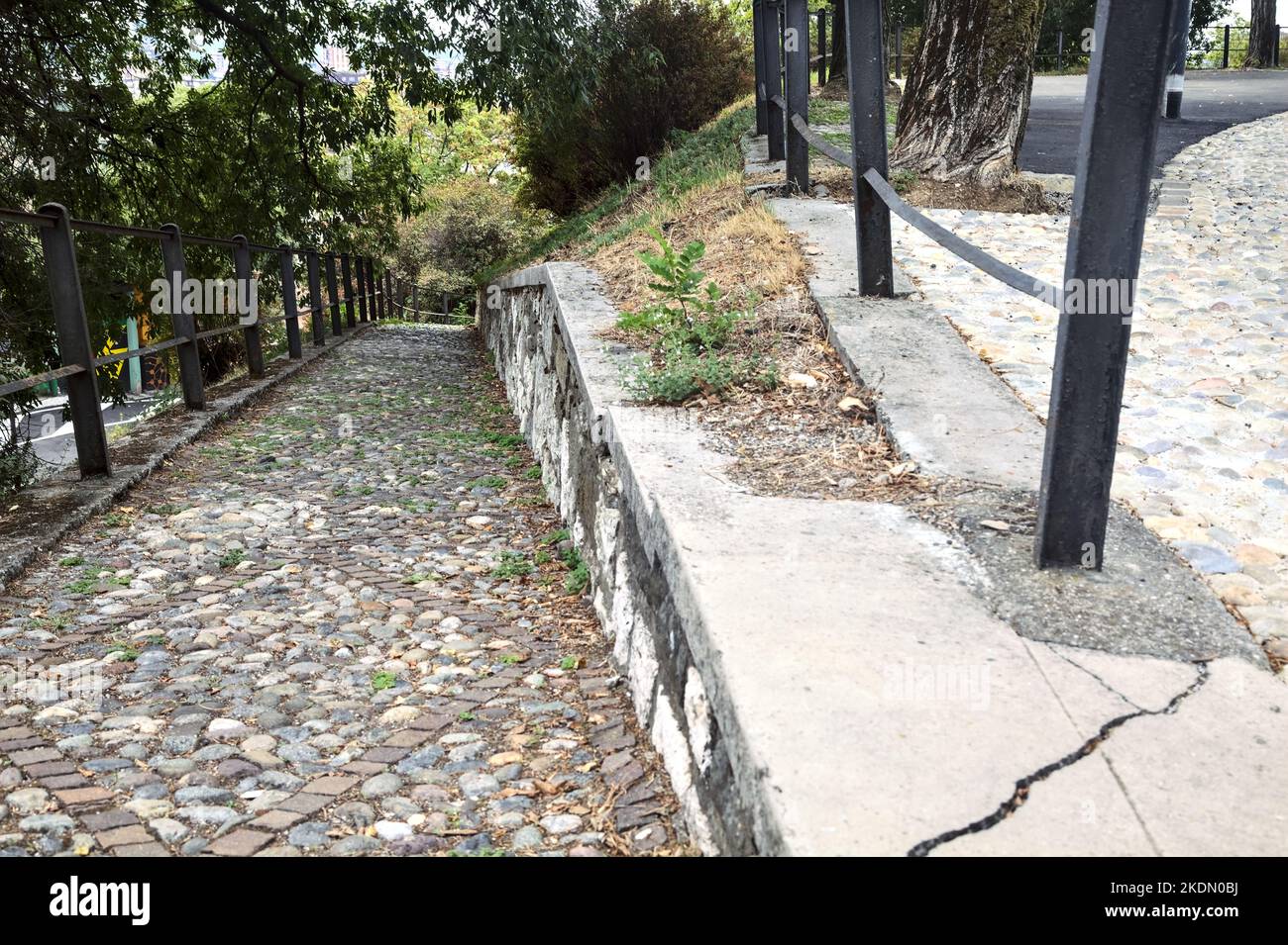 Paved path under a tree canopy in a park Stock Photo - Alamy