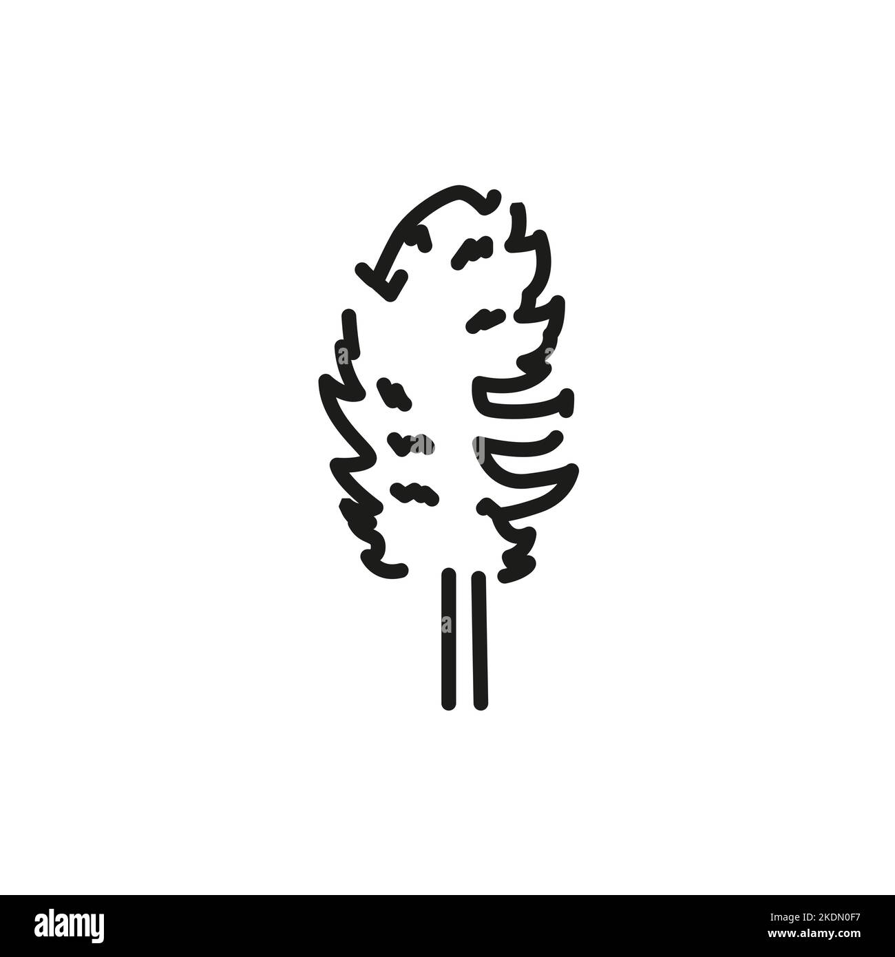 Cedar tree color line icon. Pictogram for web page Stock Vector Image ...