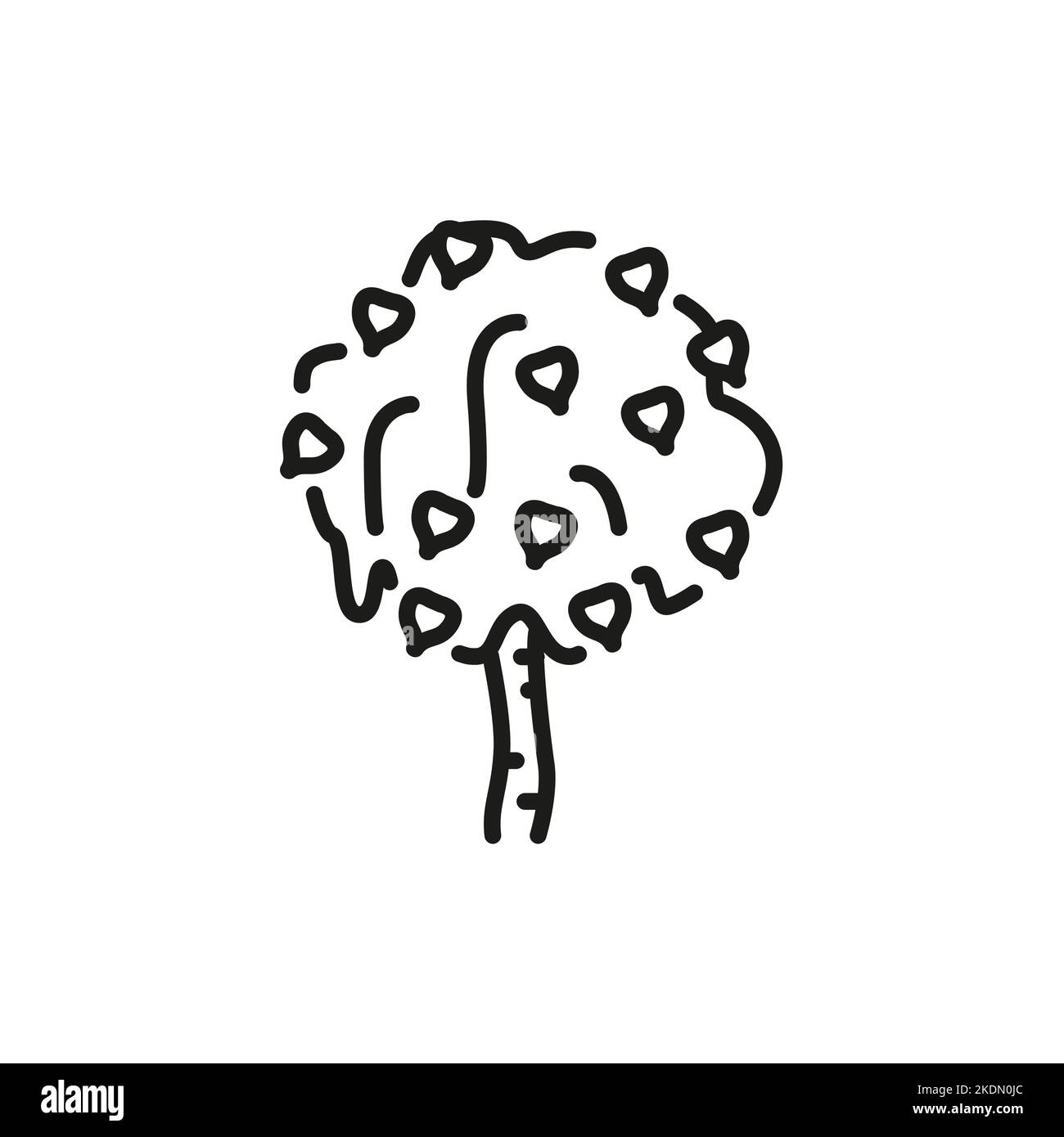 Birch tree color line icon. Pictogram for web page Stock Vector Image ...