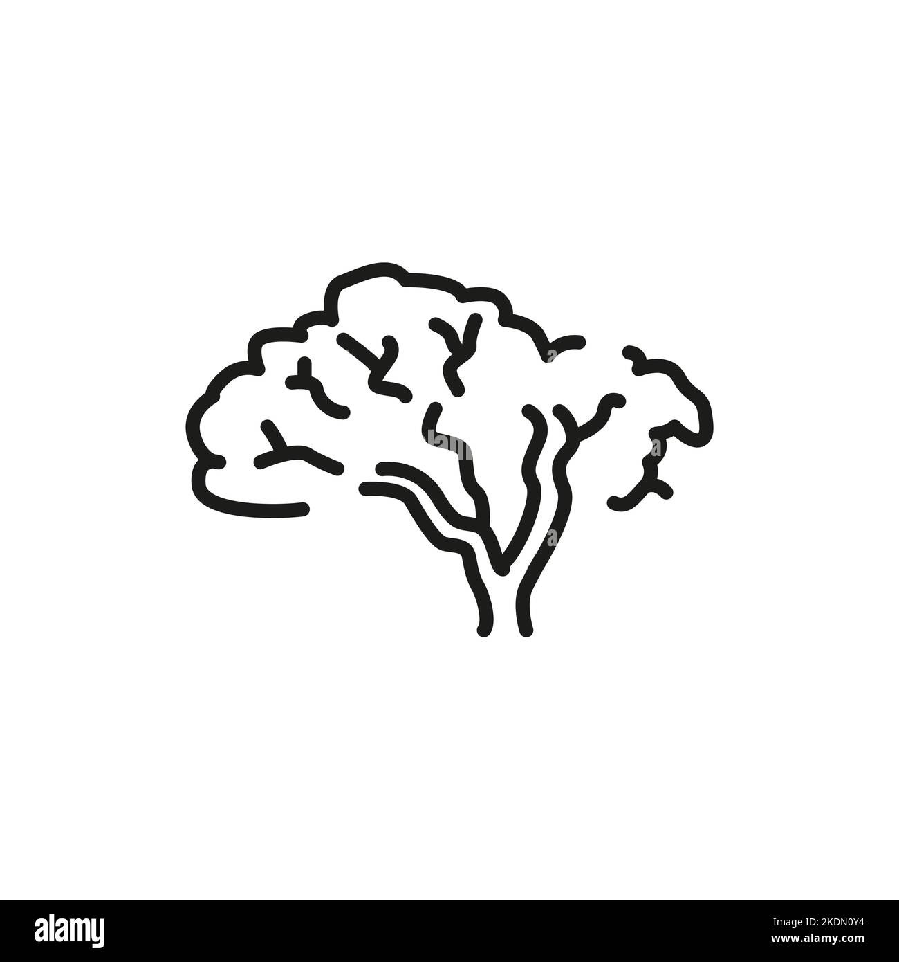 Velvet Amur tree color line icon. Pictogram for web page Stock Vector ...