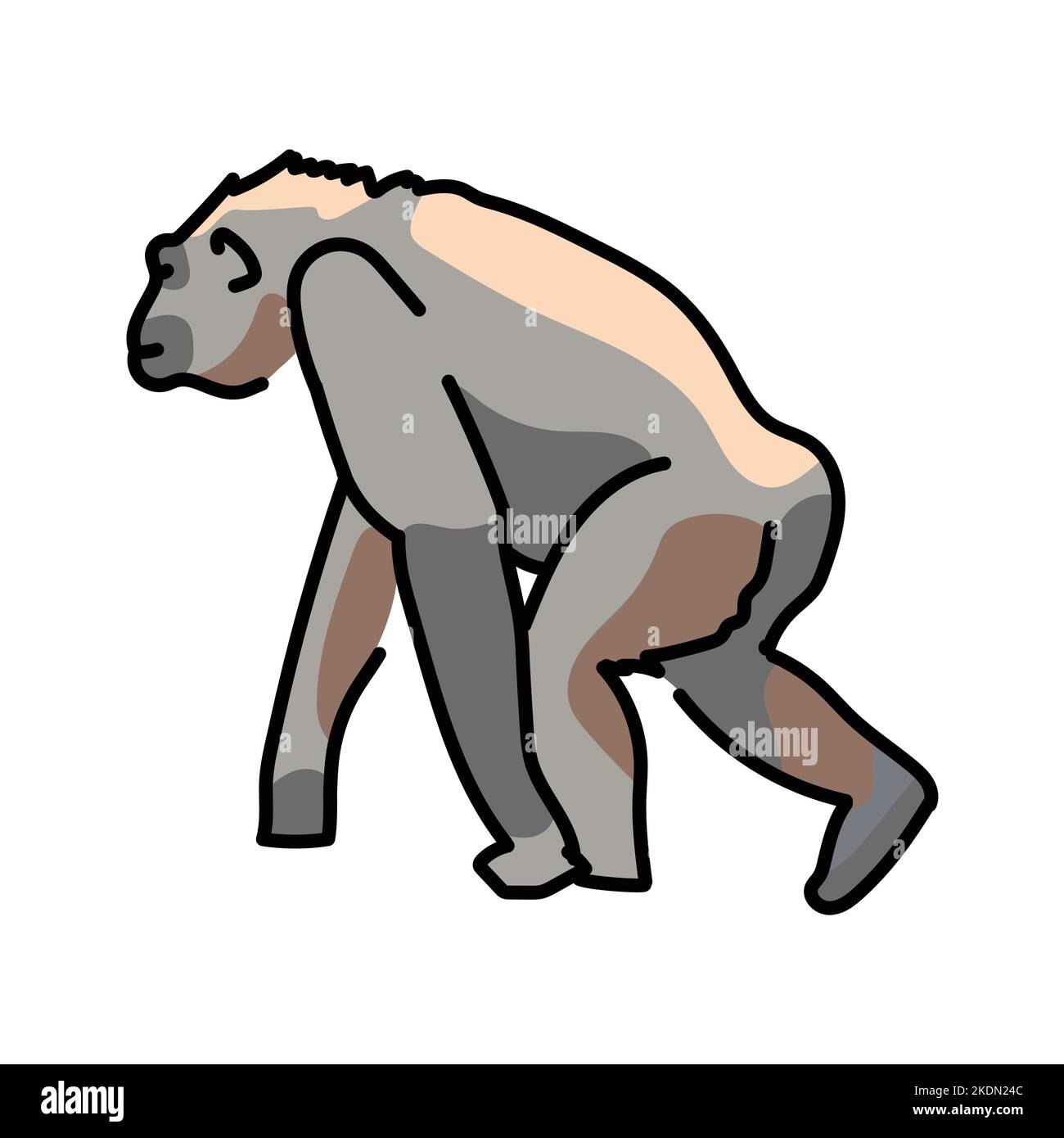 Chimpanzee color line illustration. Animals of Africa Stock Vector ...