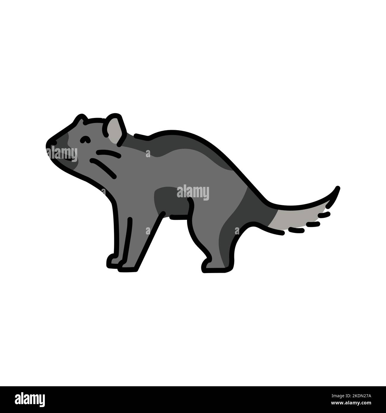 Tasmanian devil color line illustration. Animals of Australia Stock ...