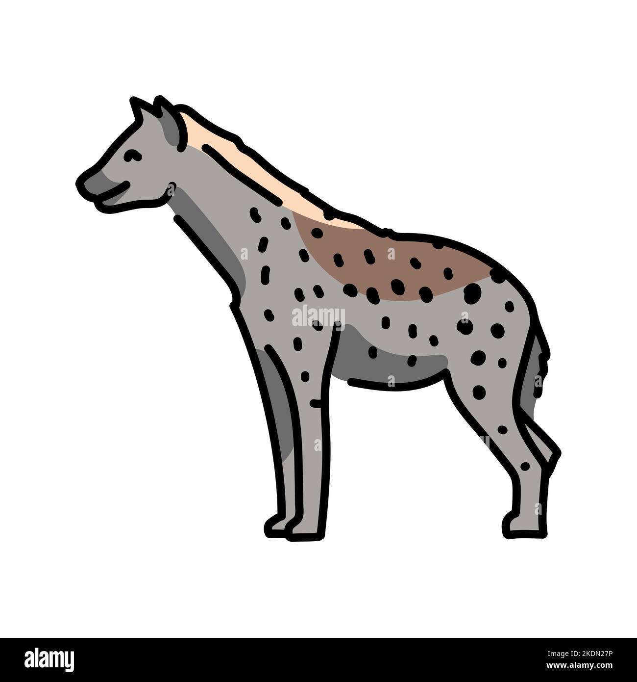Hyena color line illustration. Animals of Africa Stock Vector Image ...