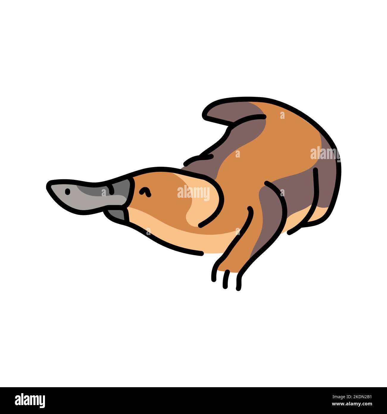 Australian platypus color line illustration. Animals of Australia Stock ...