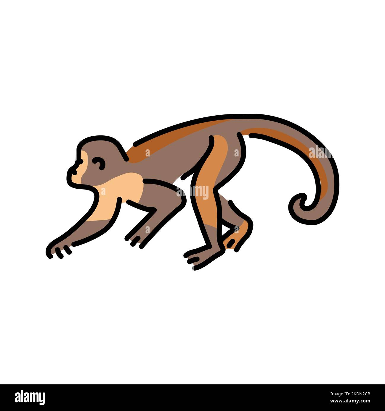 Monkey color line illustration. Animals of Africa Stock Vector Image ...