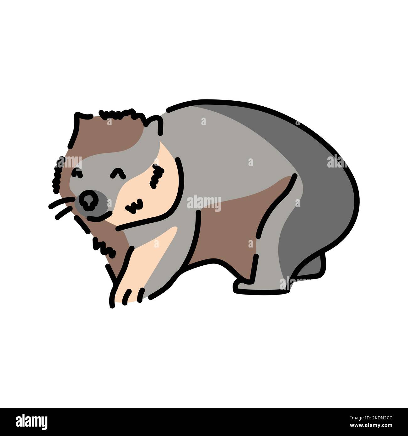 Australian wombat color line illustration. Animals of Australia Stock ...