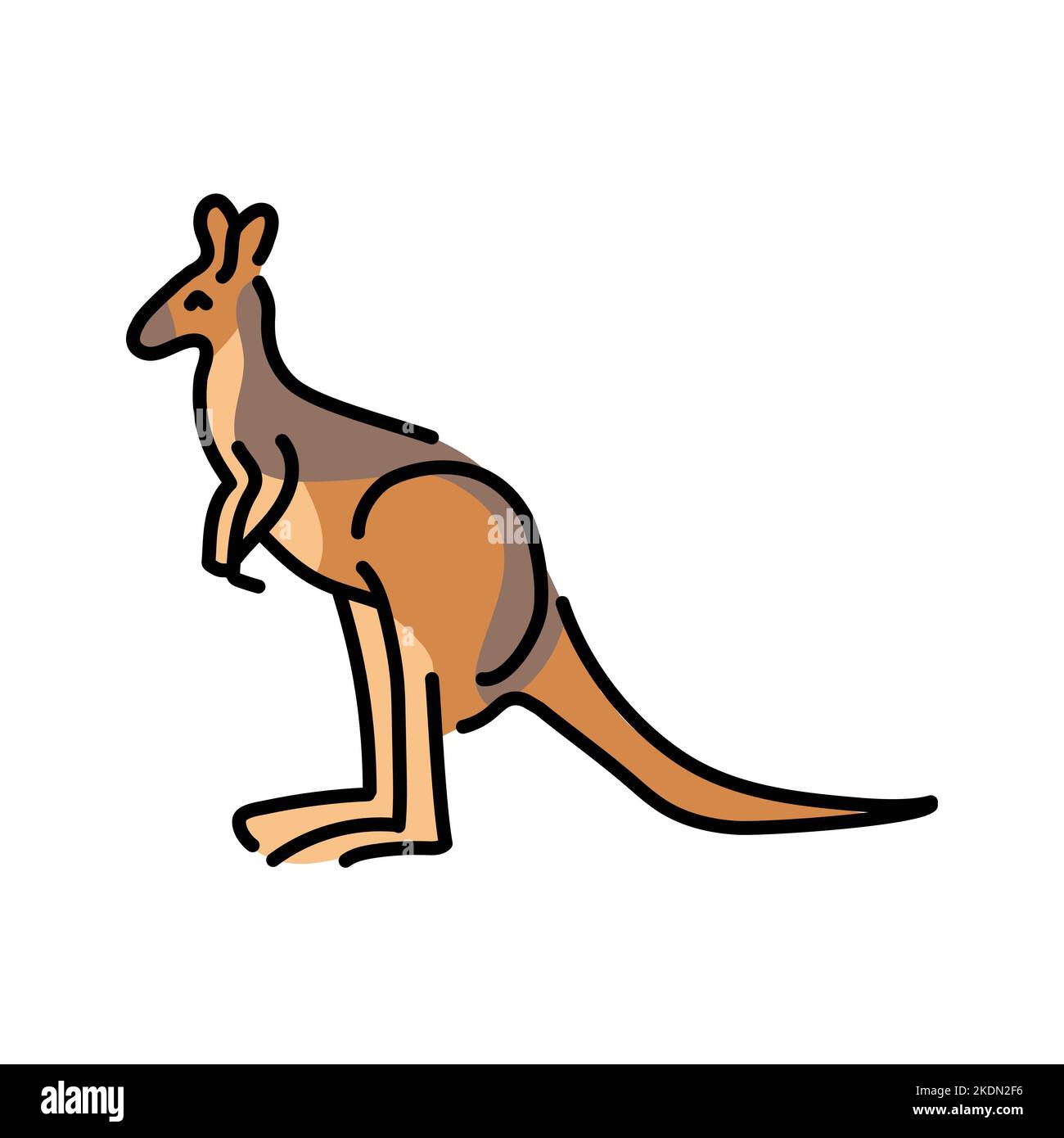 Kangaroos color line illustration. Animals of Australia Stock Vector ...