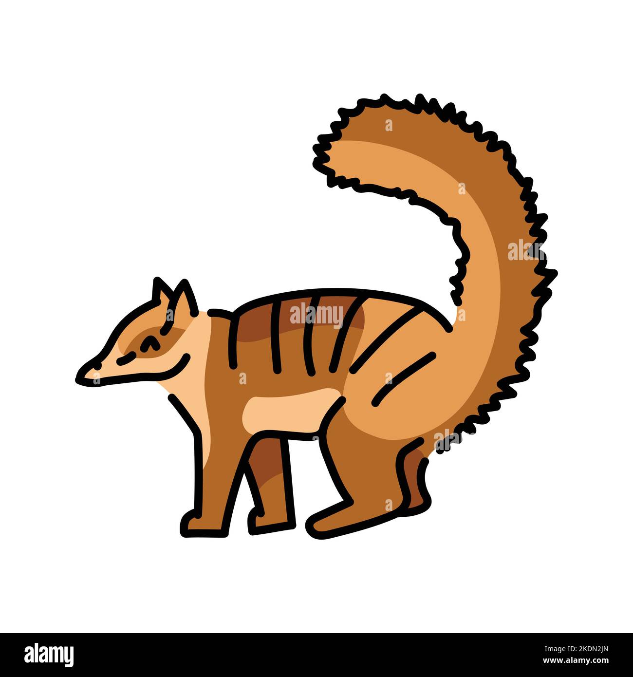 Marsupial anteater color line illustration. Animals of Australia Stock ...