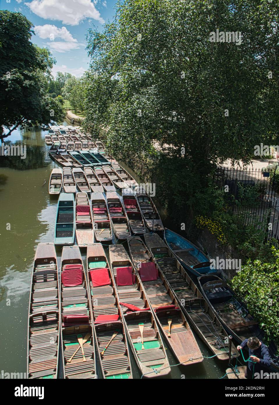 Moored punts on the River Cherwell beneath Magdalen Bridge, Oxford ...
