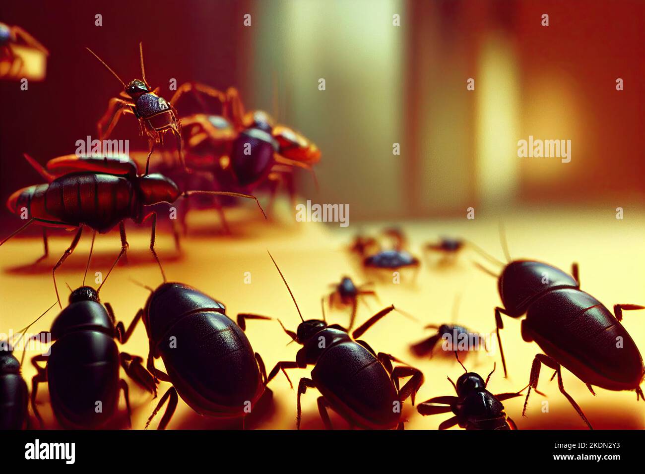 Germanic house hi-res stock photography and images - Alamy