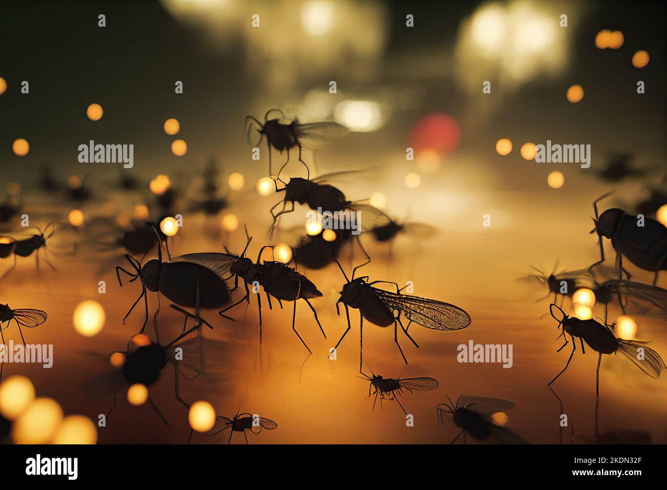 Mosquitos anopheles hi-res stock photography and images - Alamy