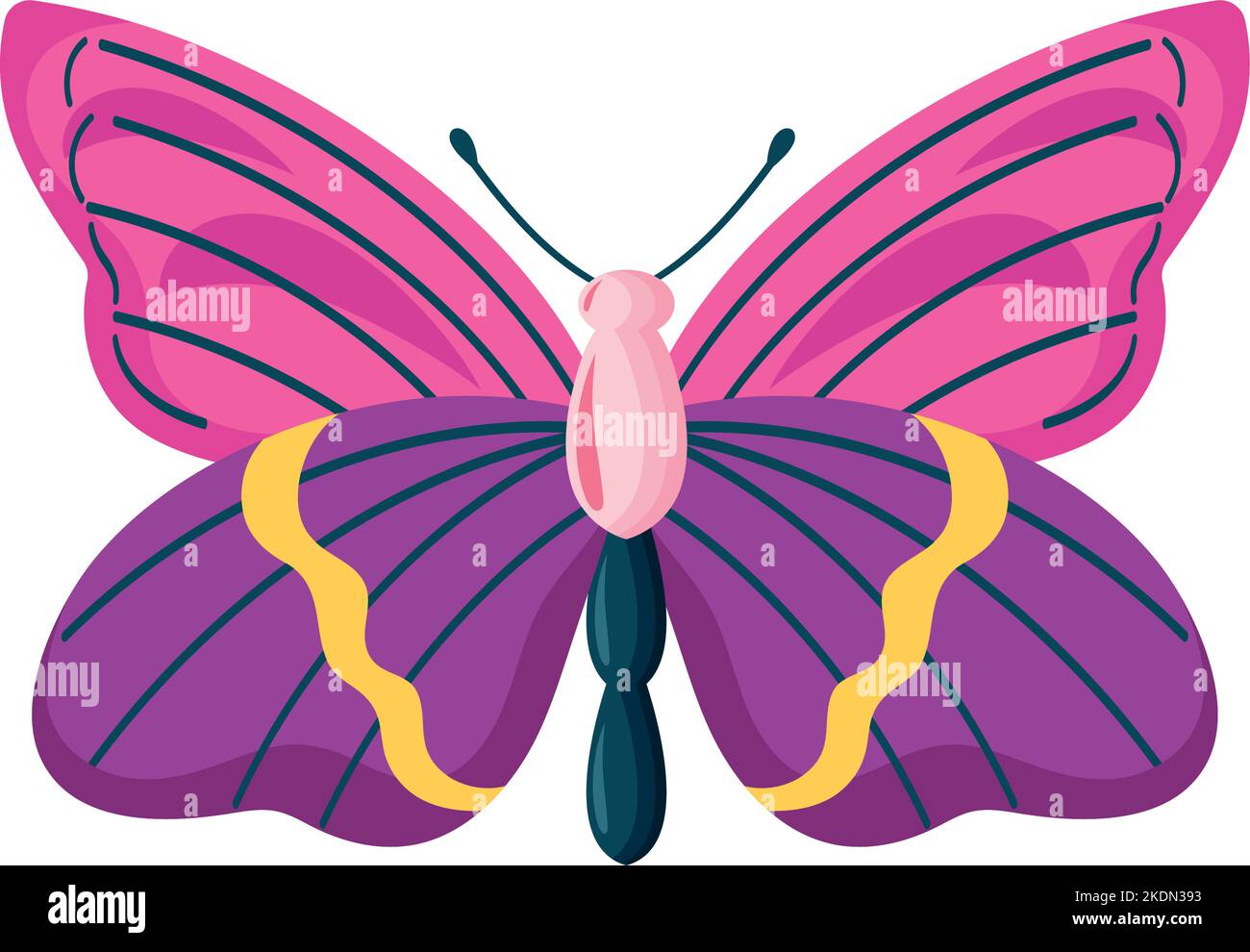 pink and purple butterfly insect Stock Vector Image & Art - Alamy