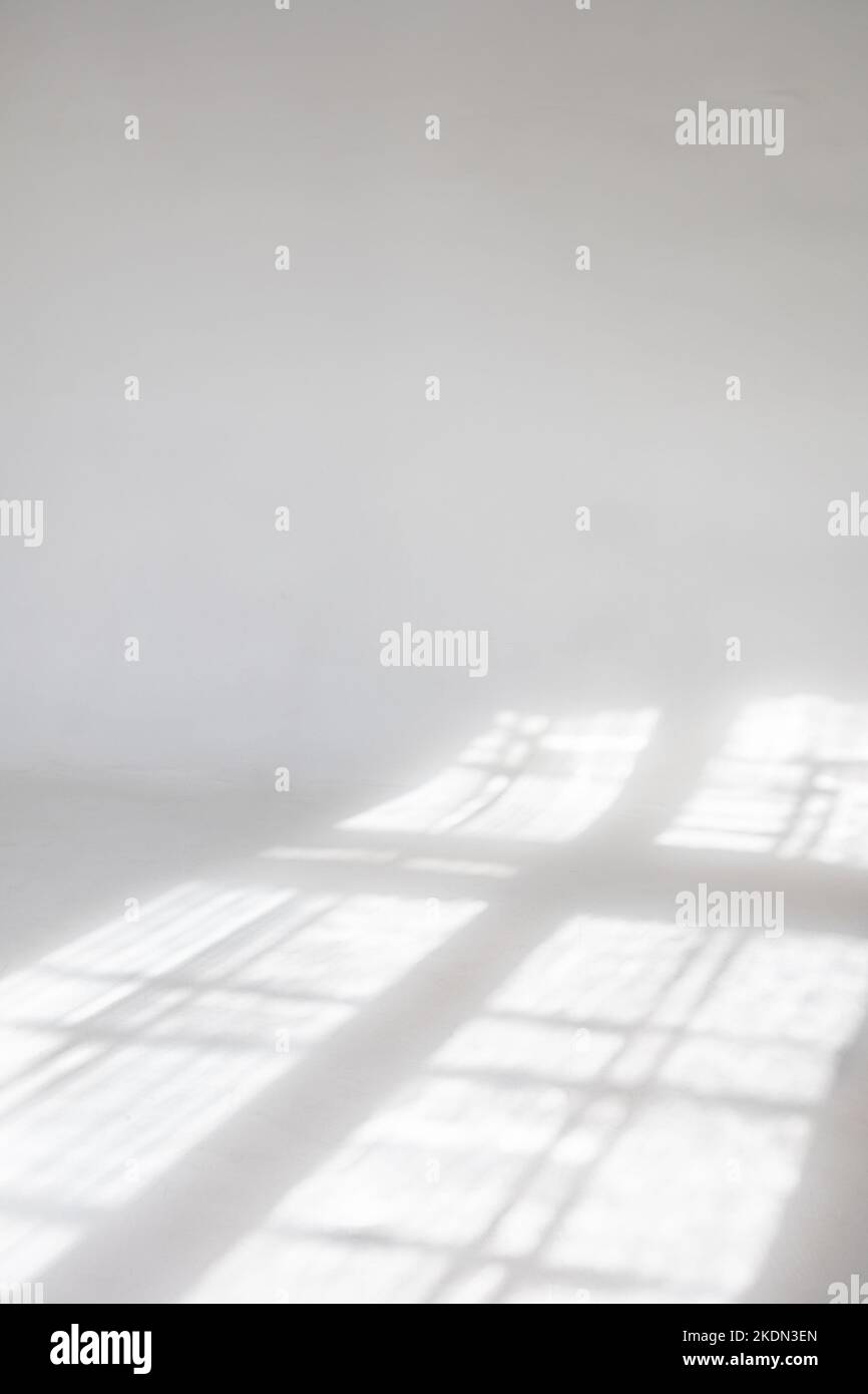 Clear white cyclorama. Light background with sun light and shadows ...