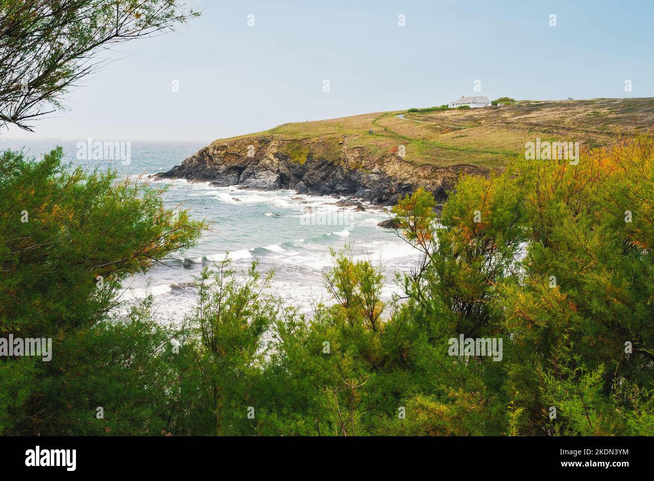 A scenic vista of Poldhu Cove, Cornwall, framed by ferns and greenery ...
