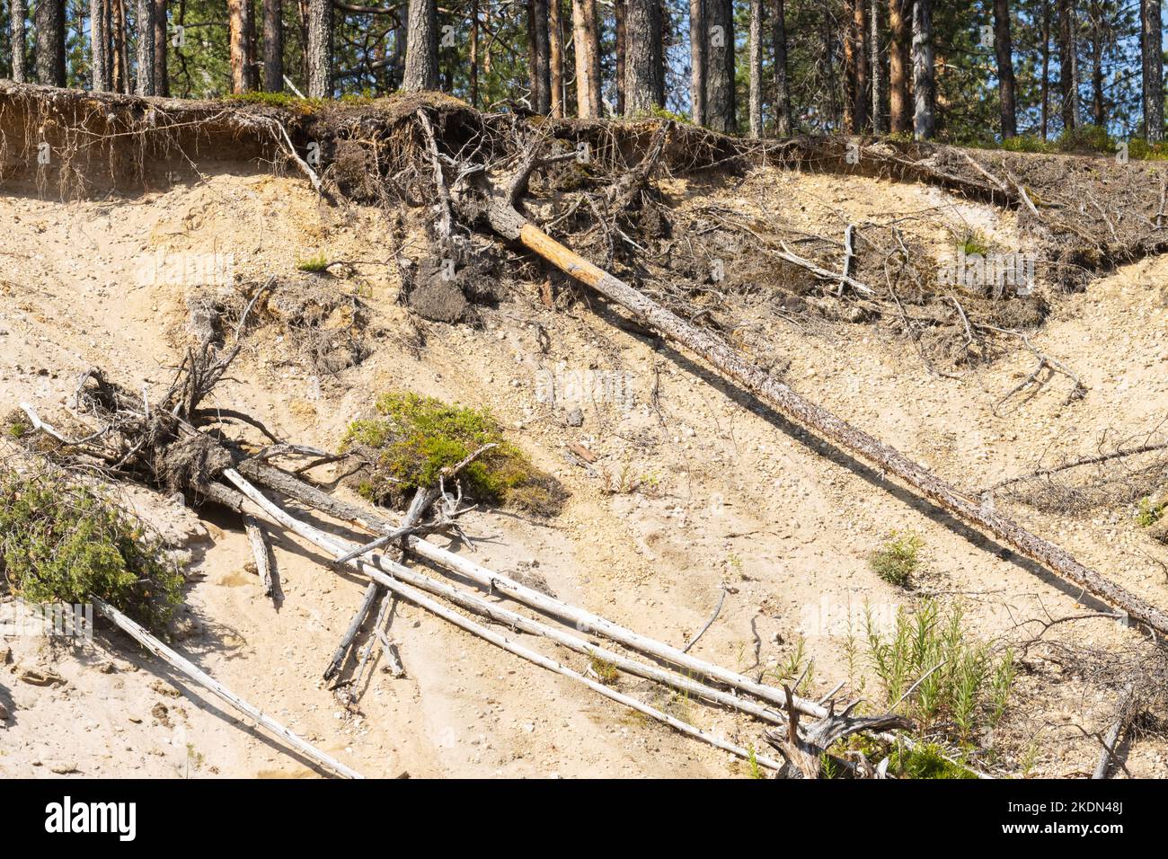 Bank erosion hi-res stock photography and images - Alamy