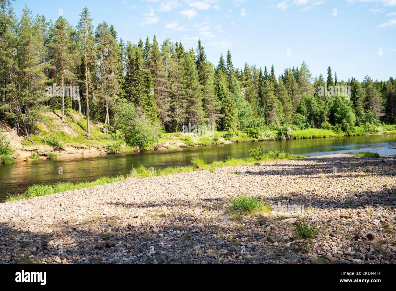 Beautiful sandy river bank on a sunny summer day in Oulanka National ...