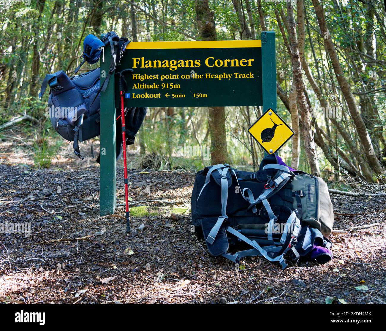 Flanagans Corner lookout sign, the highest point on the Heaphy track ...