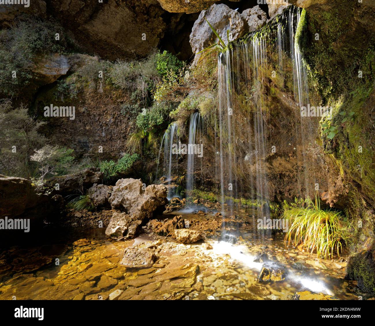 Waterfall in the Enchanted Forest, Heaphy Track, Kahurangi National ...