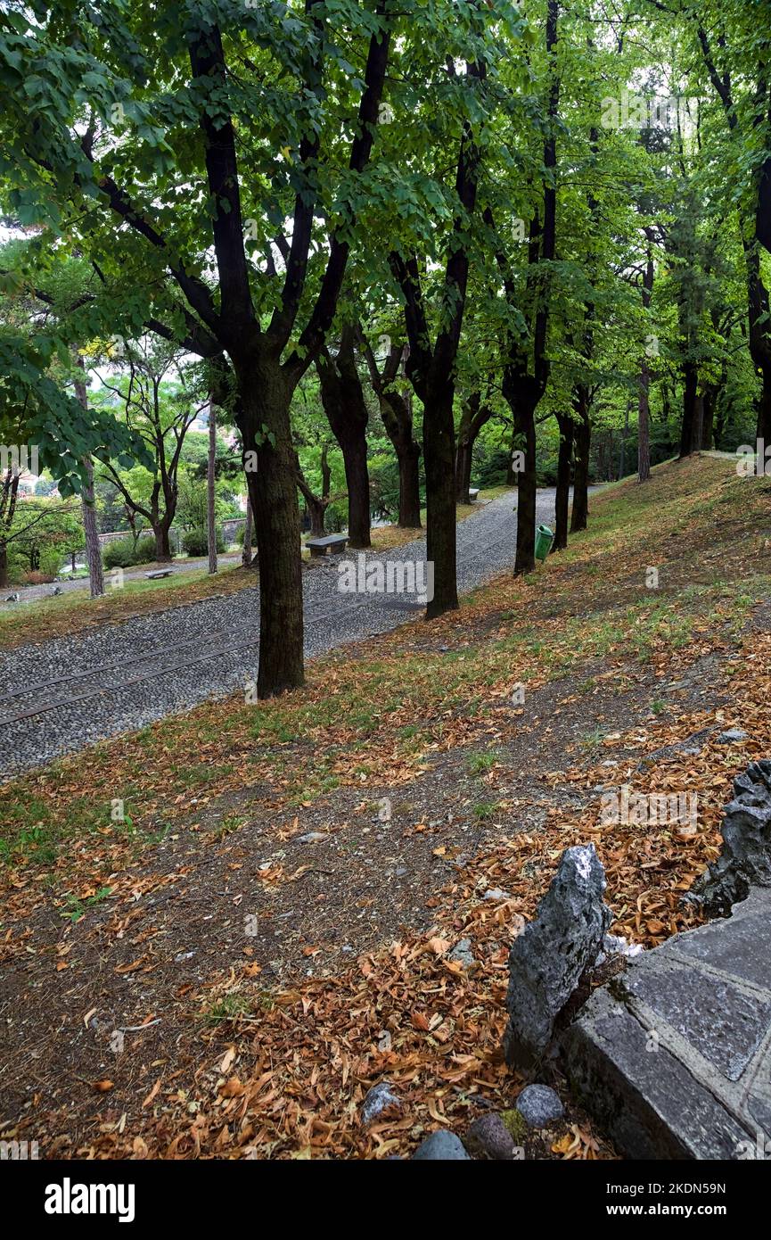 Paved path under the tree canopy of a park with stone benches by its ...