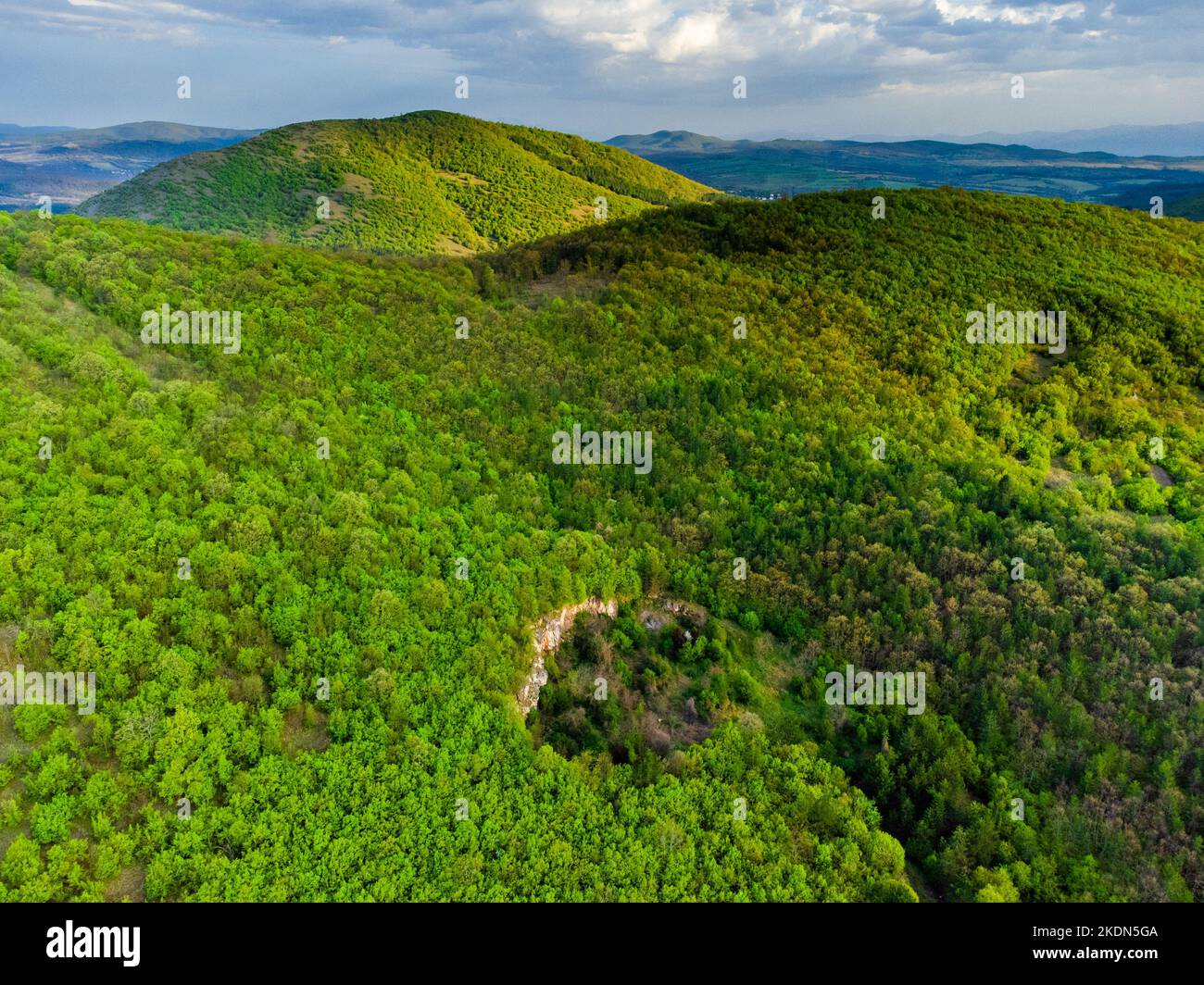 Beautiful aerial shot large forest hi-res stock photography and images ...