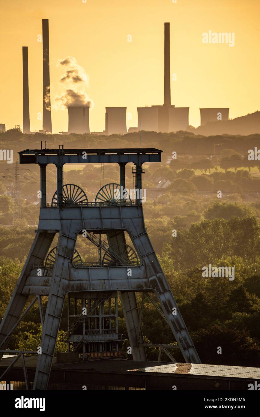 EON coal-fired power plant Scholven, Gelsenkirchen, in the back, in the ...