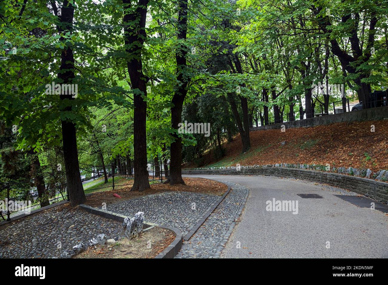 Descending paved path in a park forking with a stone staircase Stock ...