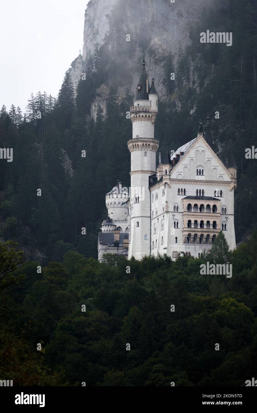 Castle of Neuschwanstein in Fussen, stunning neo gothic palace of the ...