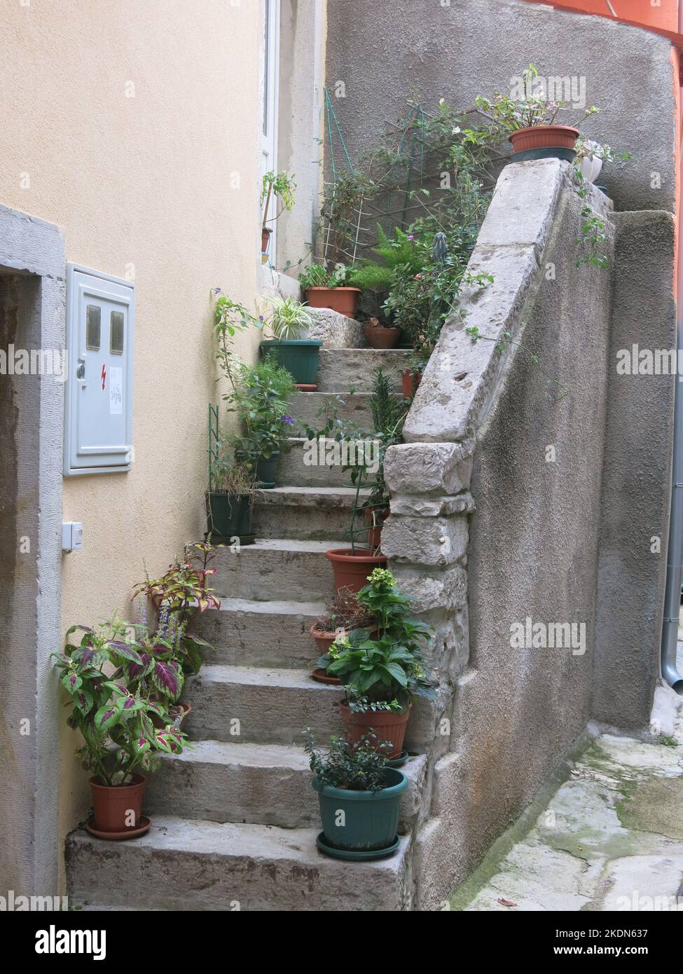 In the medieval streets of the old town of Cres, stone staircases lead ...