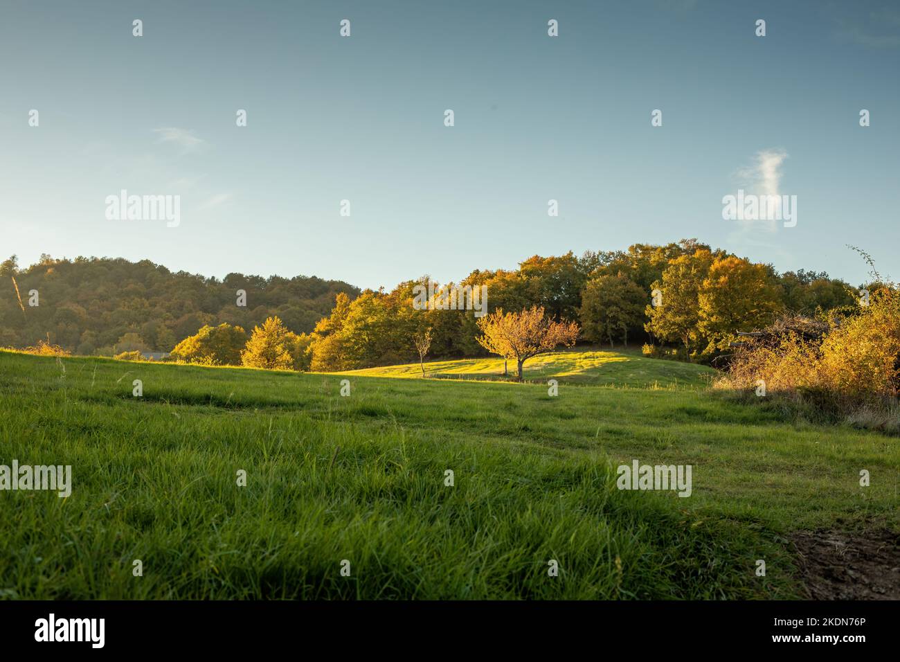 Hilly rural landscape in autumn season. High quality photo Stock Photo ...
