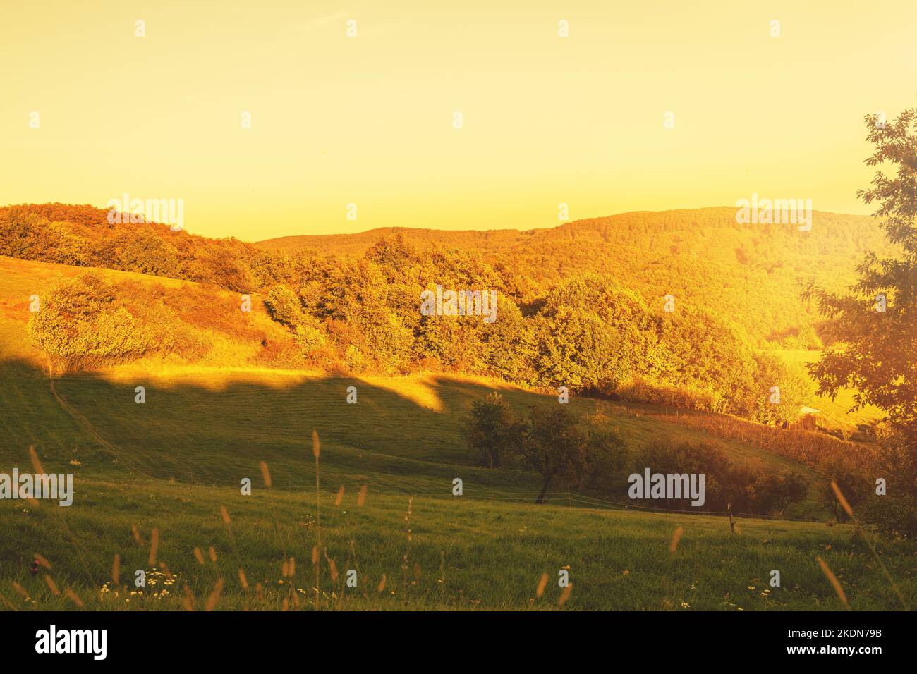 Hilly rural landscape in autumn season. High quality photo Stock Photo ...