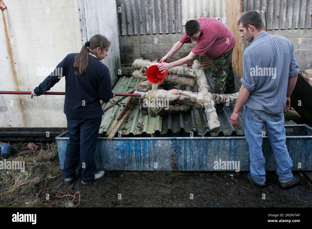 Preparing hession-covered crosses and torches by soaking them in ...