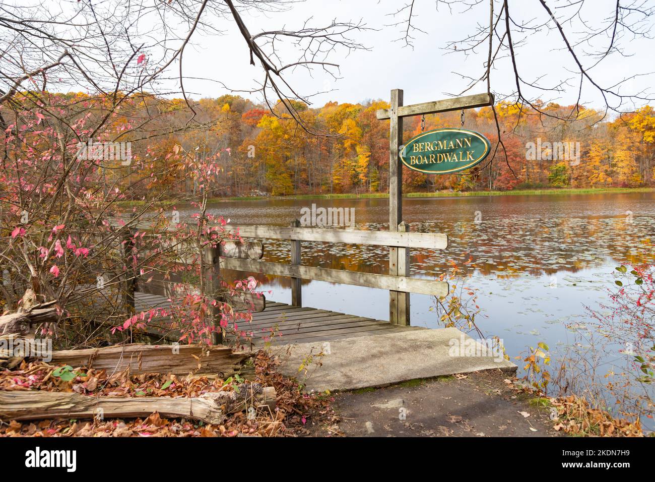 The start of the Bergmann boardwalk at Teatown Reservation in ...