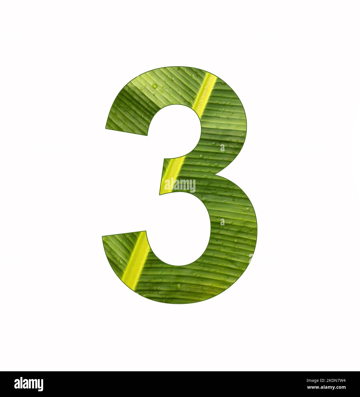 Vein texture banana leaf Cut Out Stock Images & Pictures - Alamy