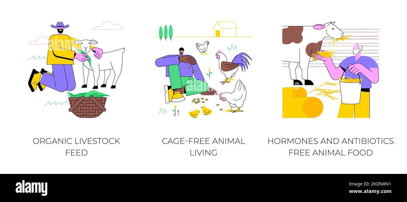 Organic livestock farming isolated cartoon vector illustrations set ...