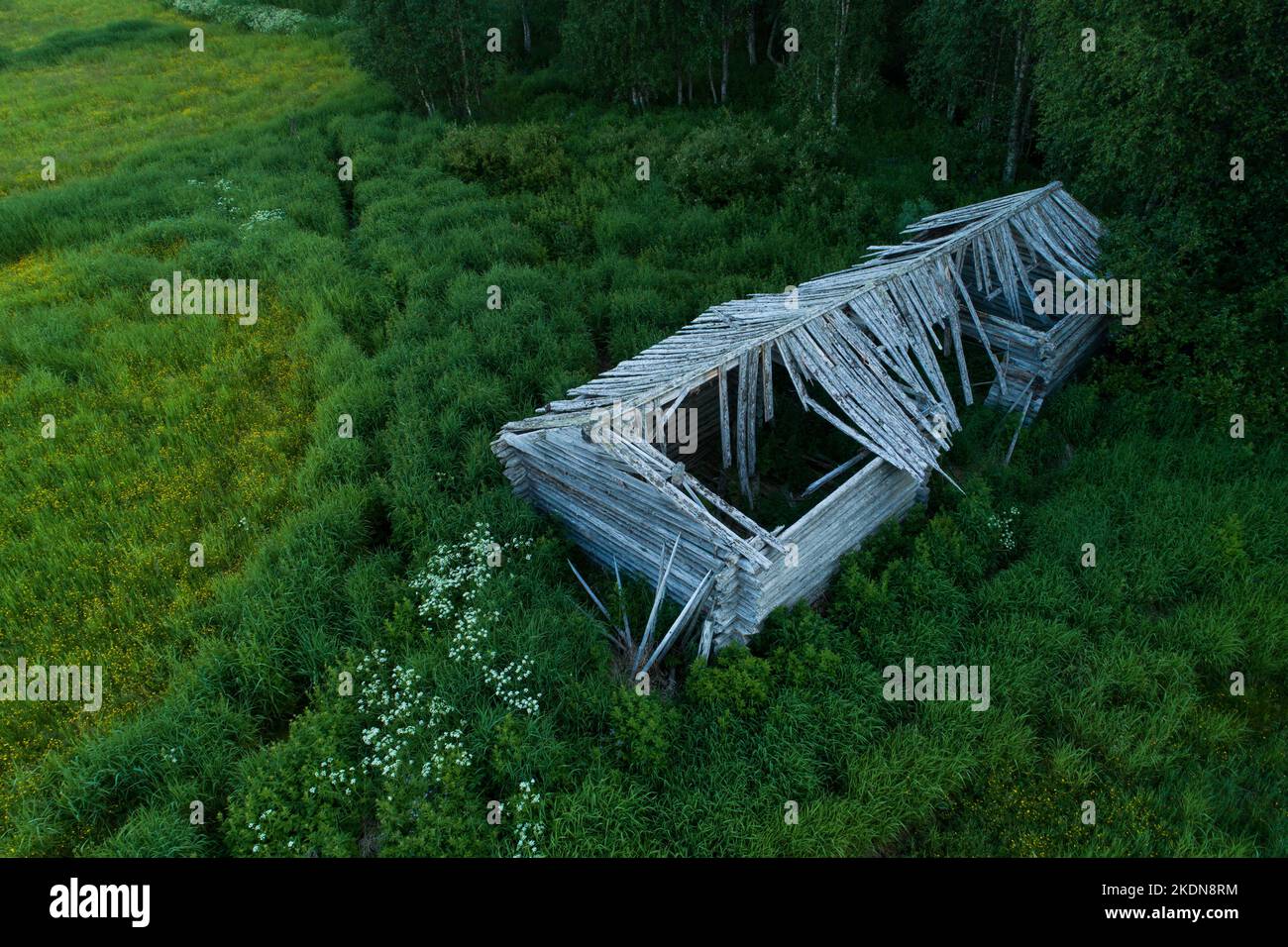 An aerial of an old and broken hay barn in the middle of lush ...