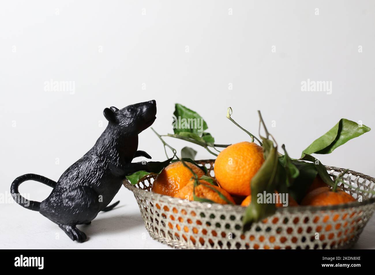mandarin oranges in a basket with black rat mouse on white Stock Photo ...