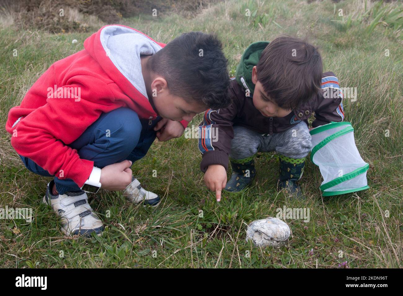 Children insects hi-res stock photography and images - Alamy
