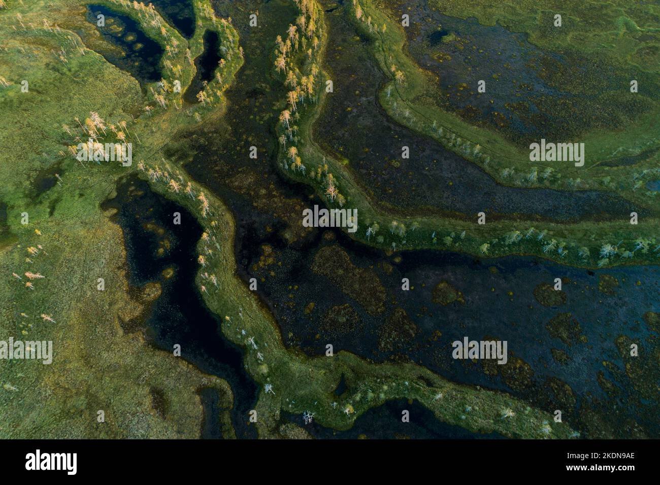 Aapa bog hi-res stock photography and images - Alamy